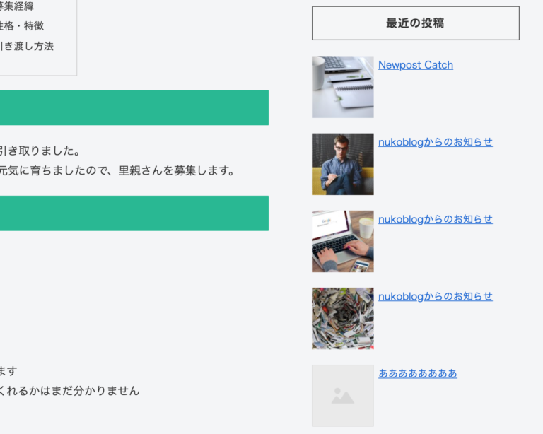 WordPressで新着記事を簡単に表示できるおすすめプラグイン8選【初期設定・使い方も解説】 | 現役マーケターが教える未来のマーケターのためのマーケティングブログ | nukoblog